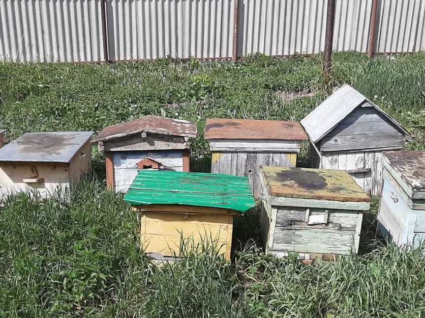 Пчелиные ульи