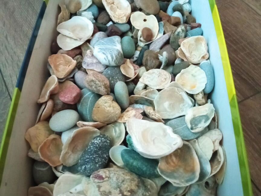 Ракушка, грунт пакетом