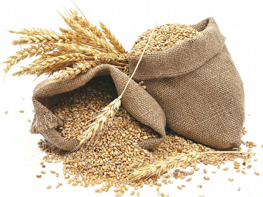 Дроблёнка, пшеница