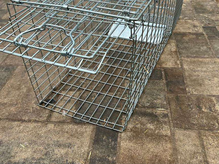 Клетка для ловли животных