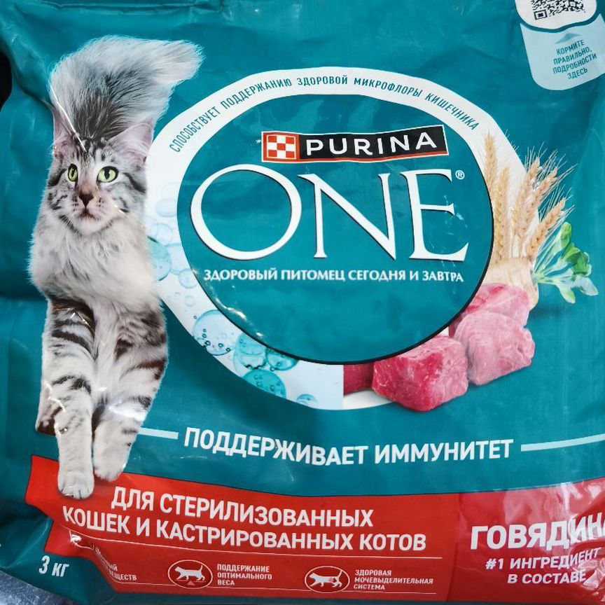 Корм для котов