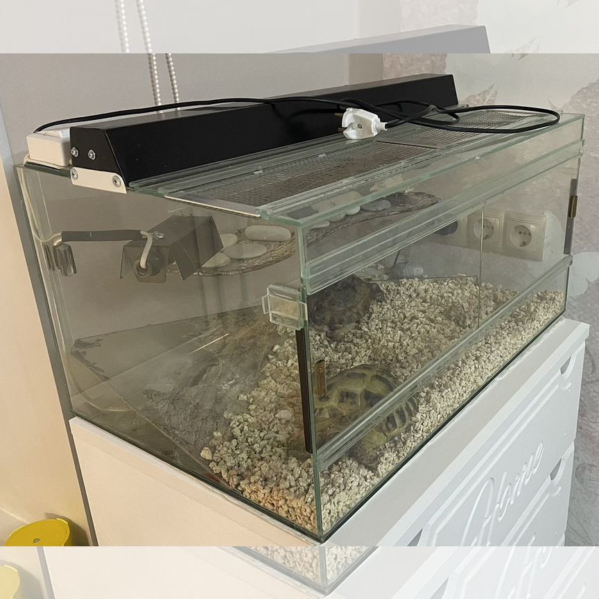 Террариум для рептилий