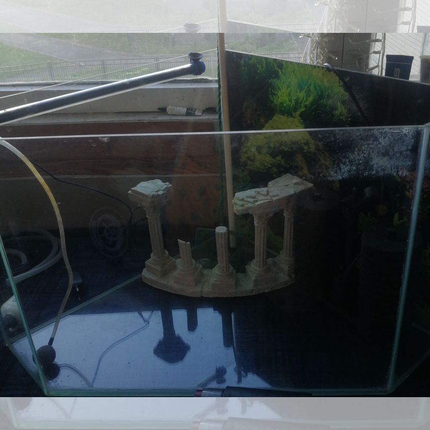 Аквариум в форме алмаза