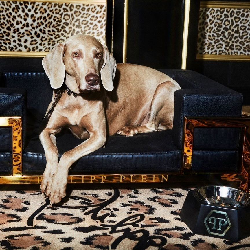 Лежанка для собак dogbed high conic limited