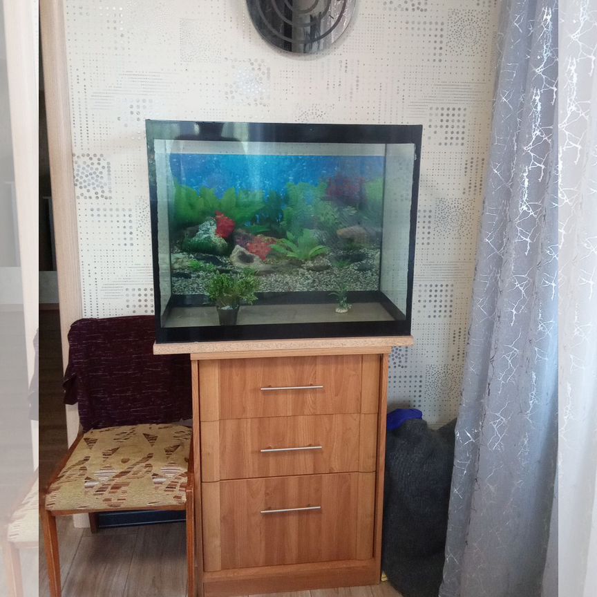 Аквариум