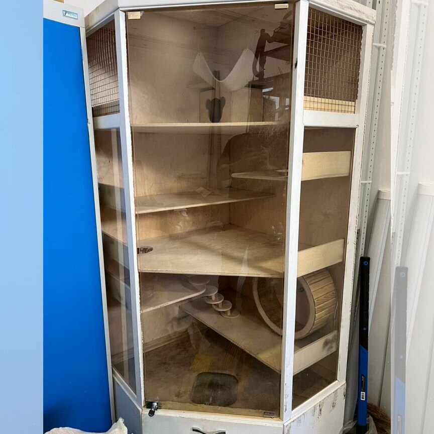 Витрина для шиншилл бу