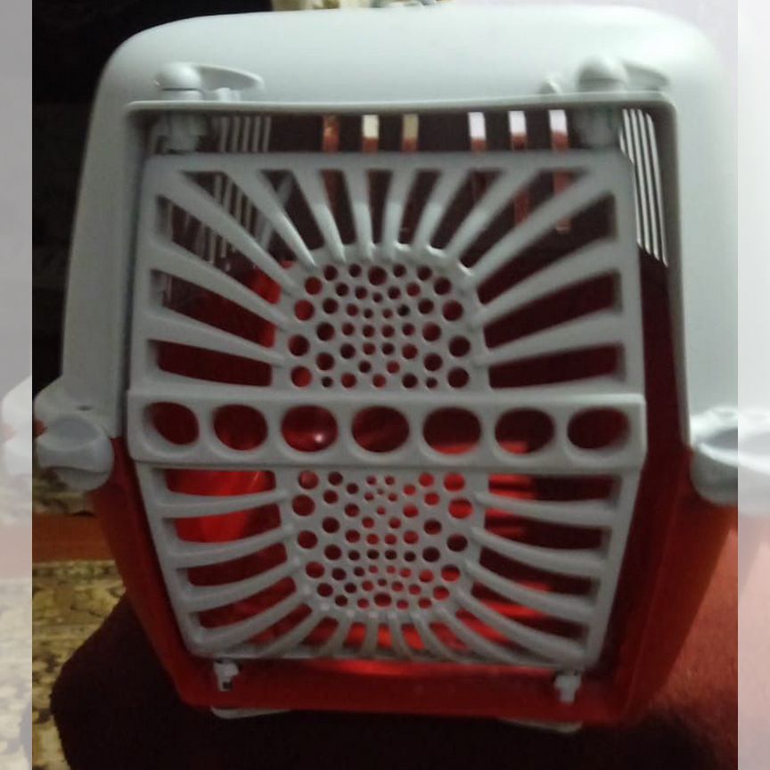 Переноска для кошек