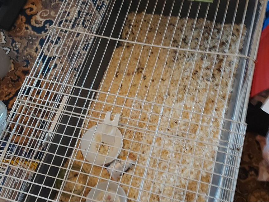 Клетка для грызунов