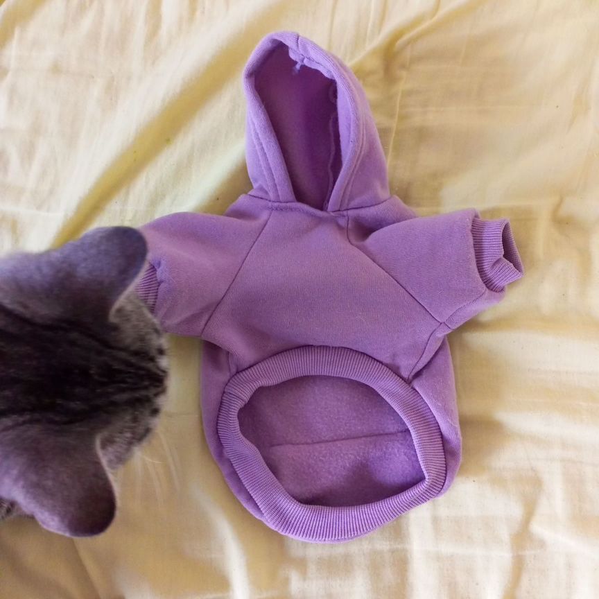 Худи для собаки собачки котёнка