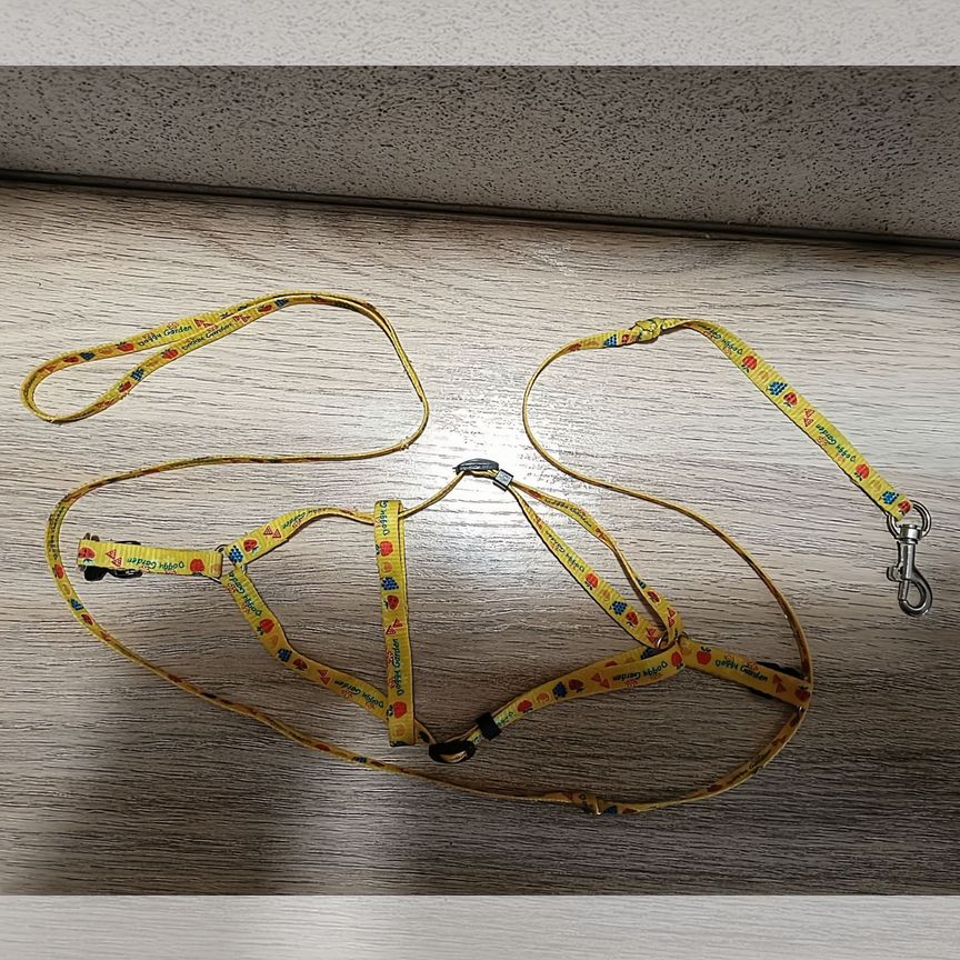 Шлейка для кошки