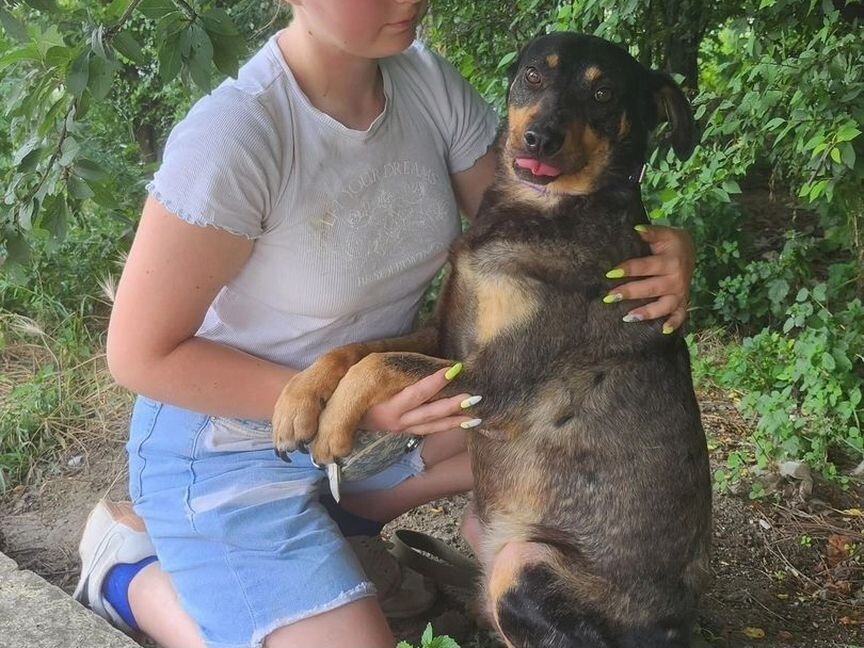 Глашенька ищет дом