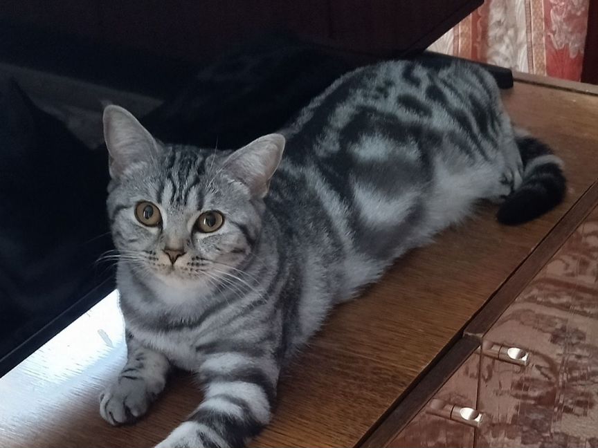 Мраморная красотка с приданным