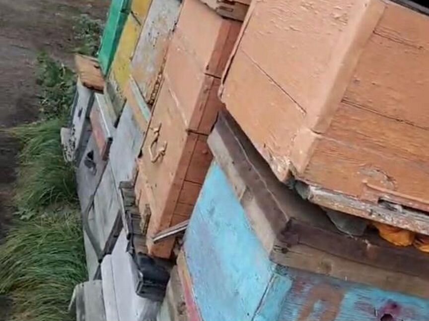 Улики для пчел и рамки