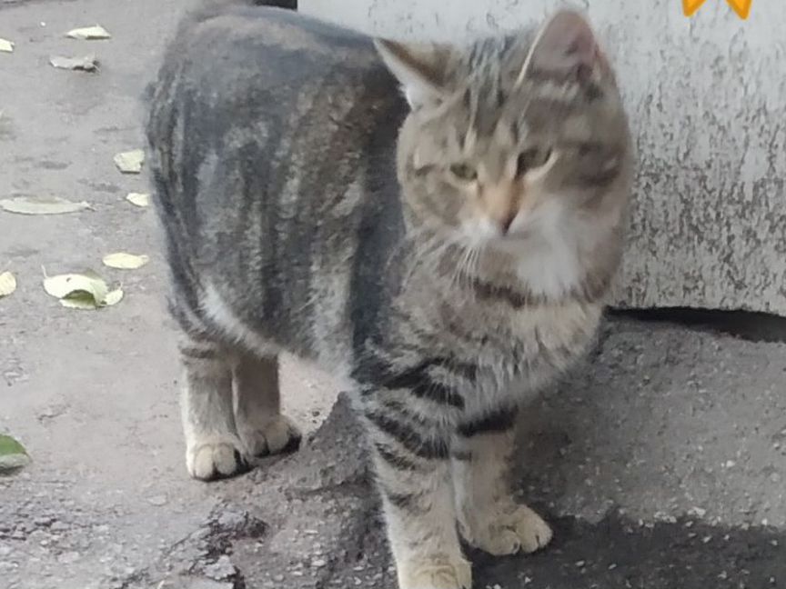 Позарез нужен дом