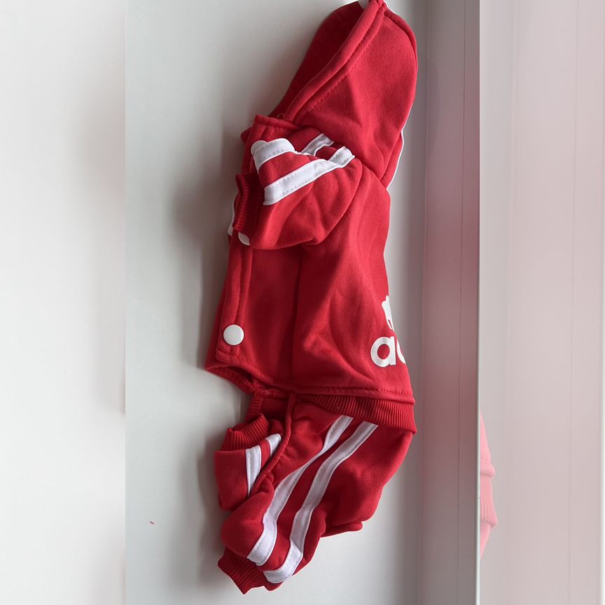 Одежда для собак мелких и средних пород