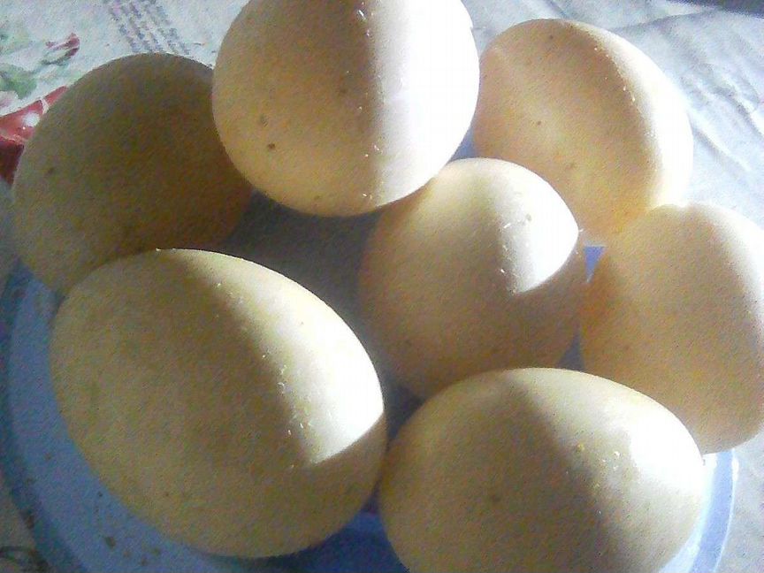 Инкубационное яйцо индоутки