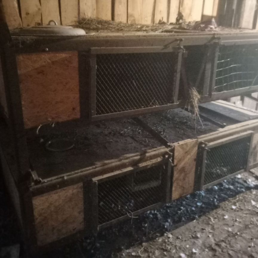 Кроличьи клетки