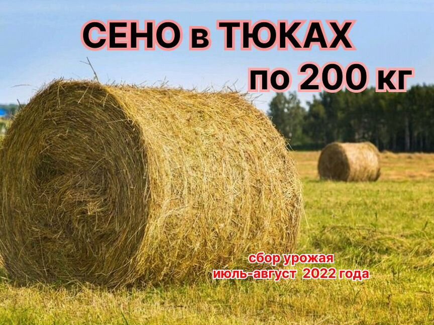 Сено в рулонах