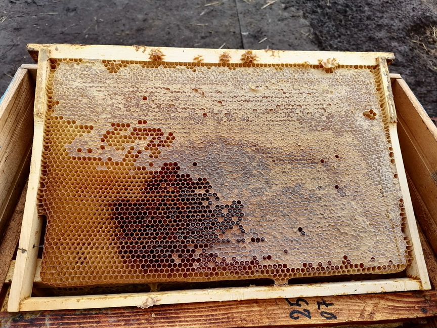 Рамки с вощиной