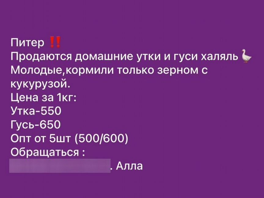 Утки гуси халяль