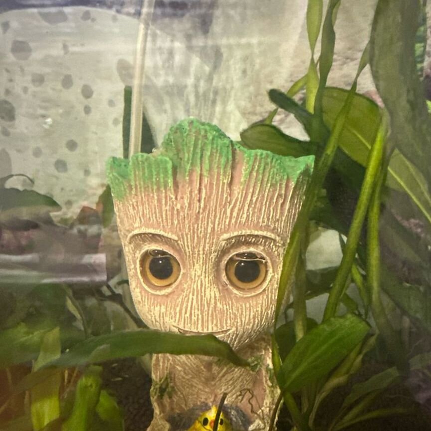 Аквариум с тумбой 60 литров