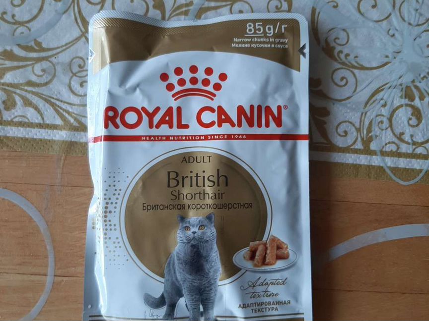 Влажный корм для кошек royal canin