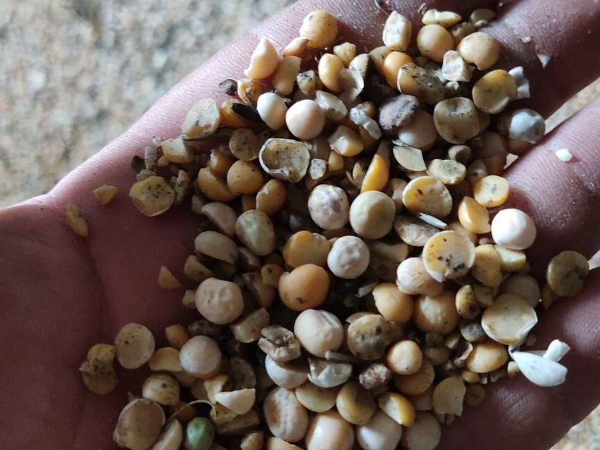 Продам дробленный горох