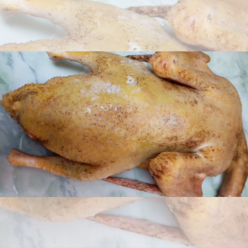 Уточка, курочка, гусь домашние