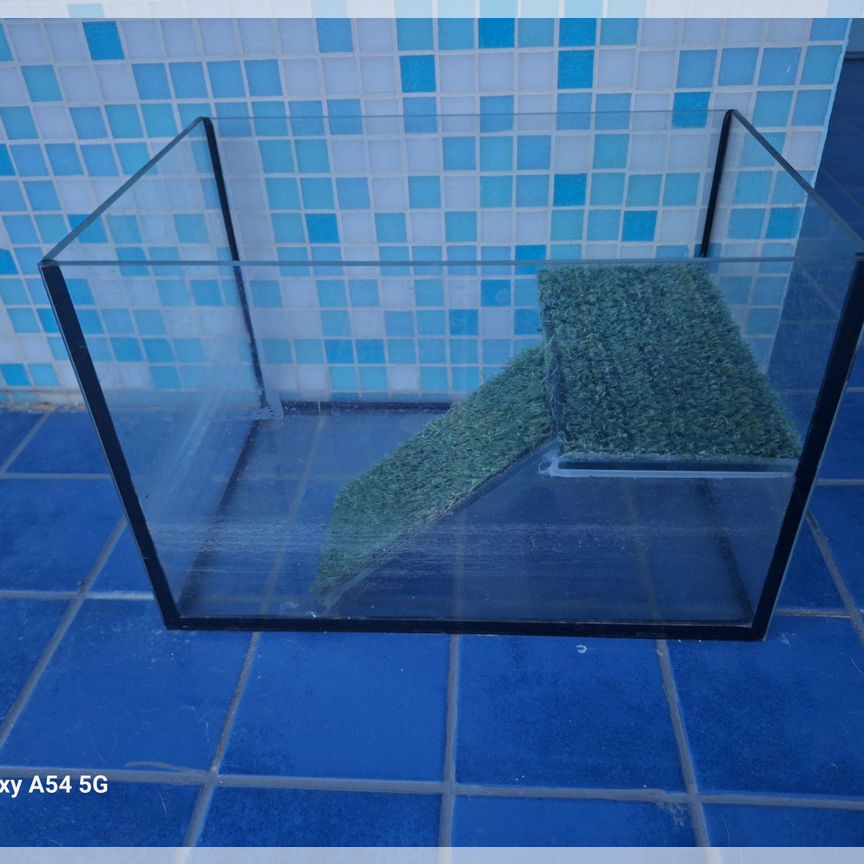 Аквариум для красноухой черепахи