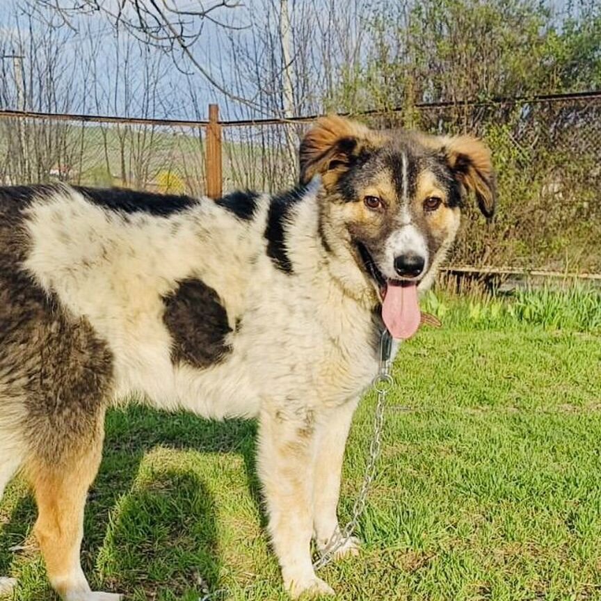 Мальчик в самые добрые руки