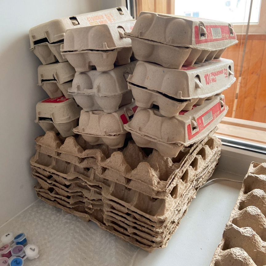 Яичные лотки