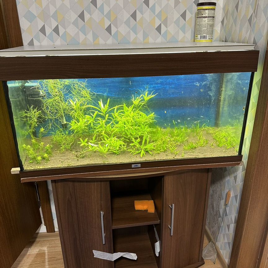 Аквариум ювель