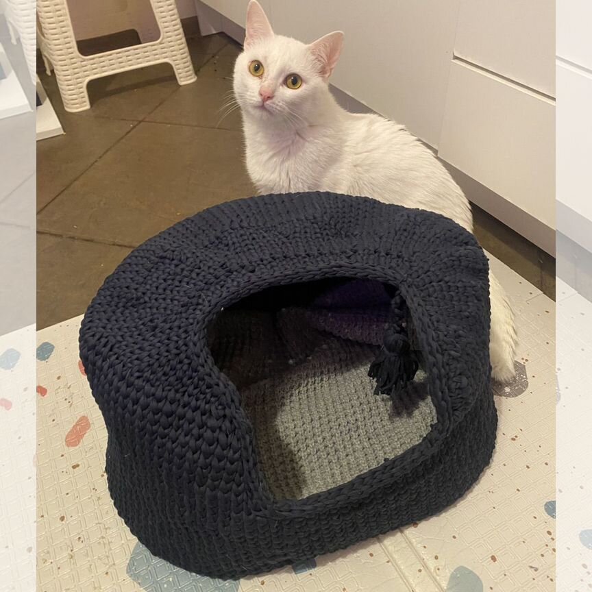 Домик для кошки бу