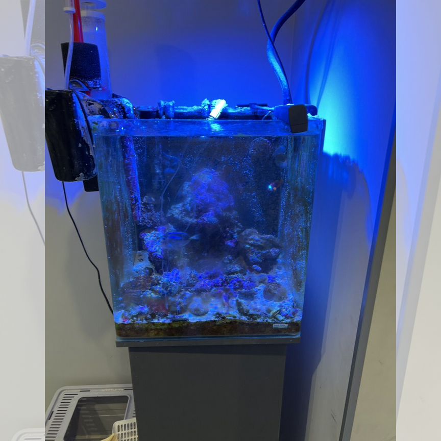 Аквариум dennerle nanocube 60