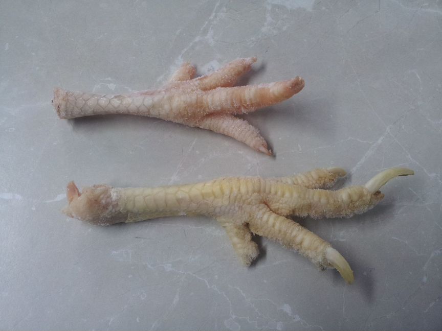 Продам суточных цыплят на корм животным