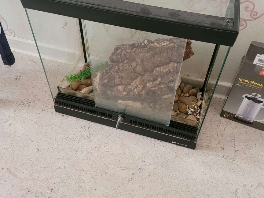 Террариум для лягушек