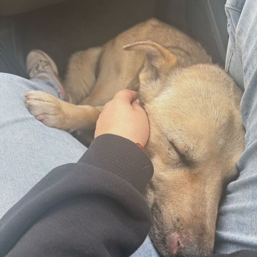 Боцман уже в пути к вам. к своему человеку