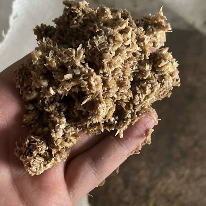 Пивная дробина без алкоголя