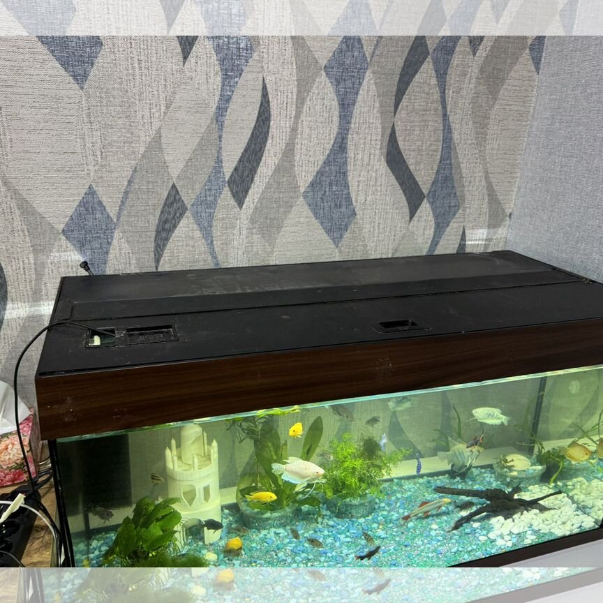 Аквариум 200 литров