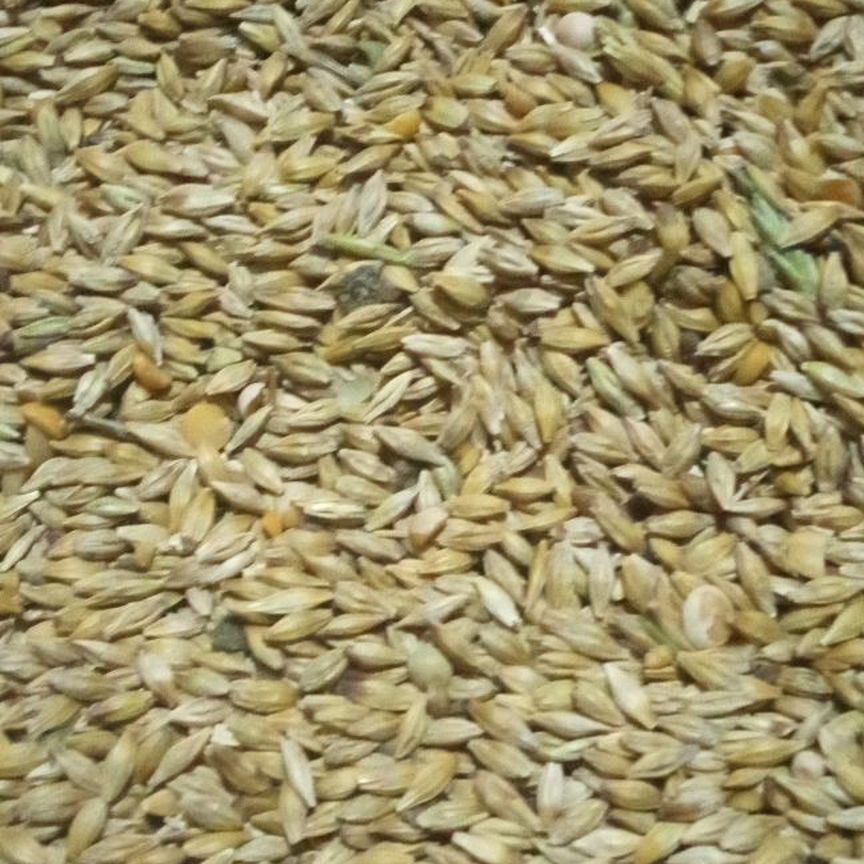 Пшеница ячмень горох Фураж в мешках