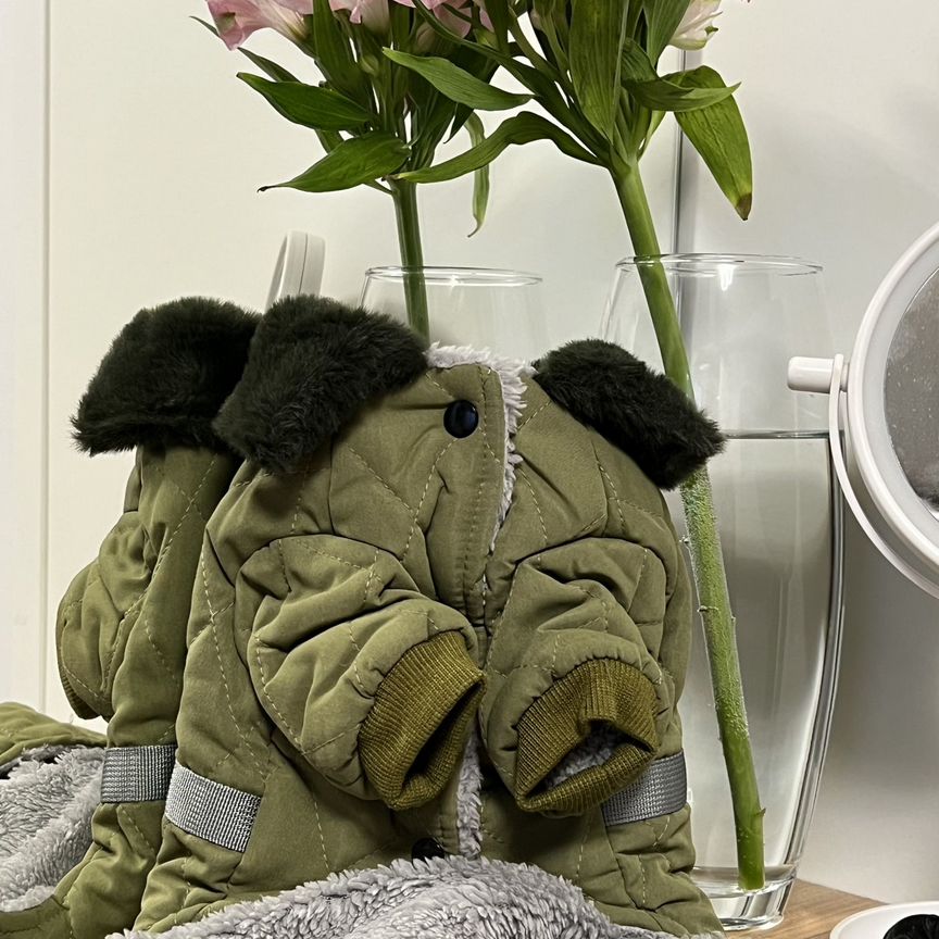 Зимний комбинезон для собаки