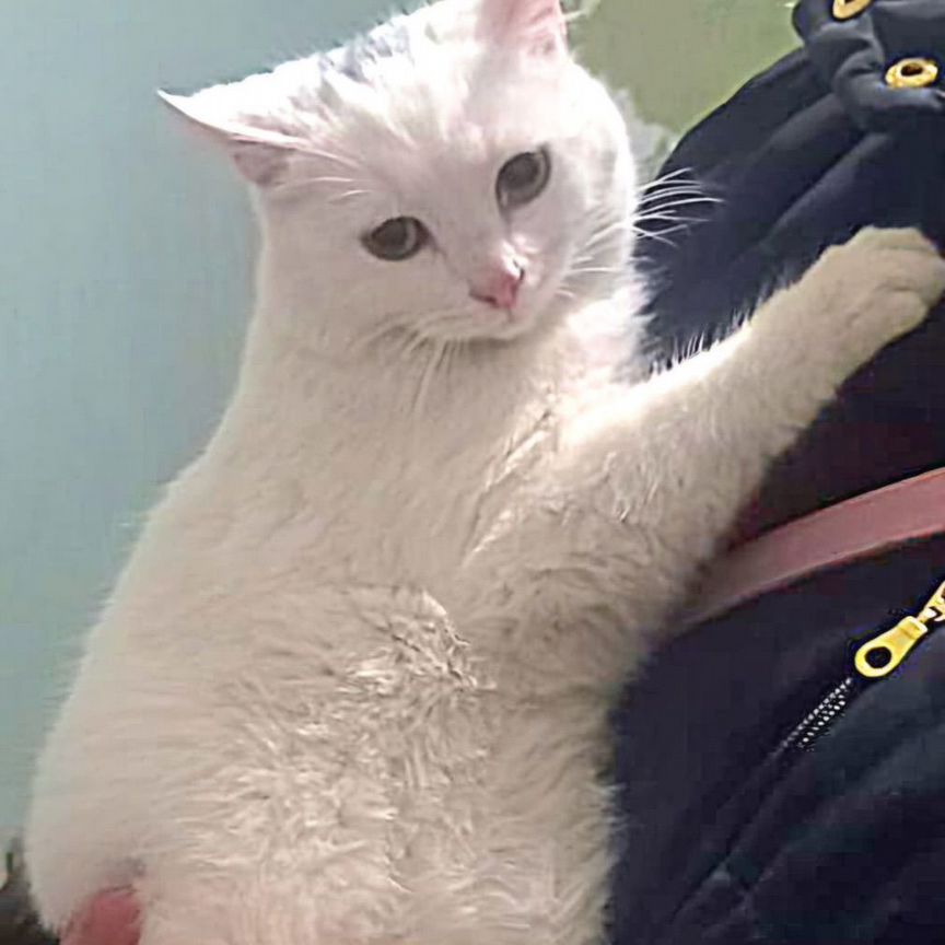 Кефирчик для здоровья