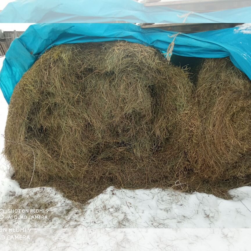 Сено в тюках