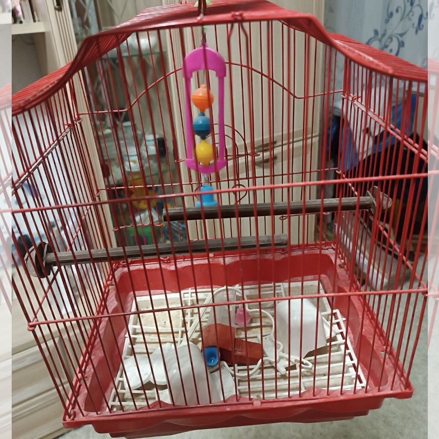 Клетка для попугая