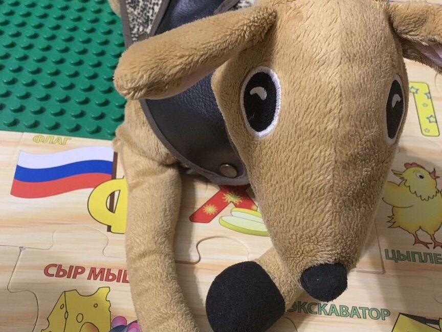 Наряд для маленькой собачки