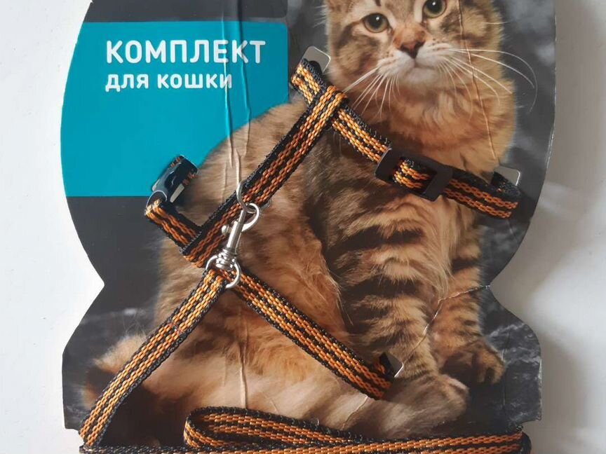 Комплект шлейка и поводок для кошек