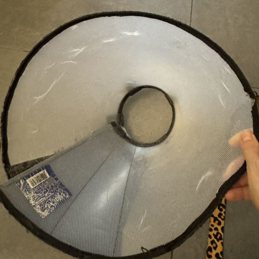 Воротник для животных