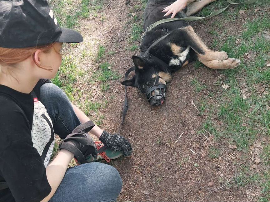 Черныш зря родился
