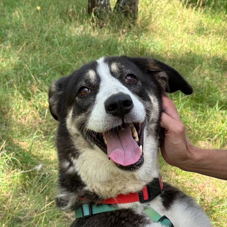 Маша хочет домой