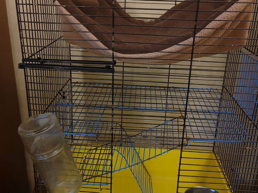 Клетка для грызунов бу